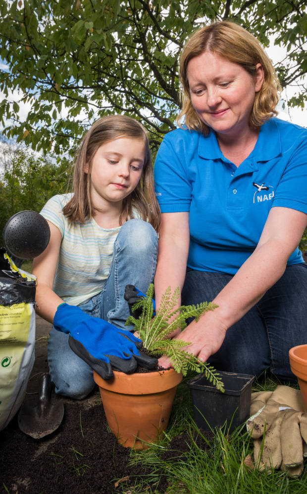 NABU: Protegiendo Ecosistemas Preciosos - Solkes Magazine